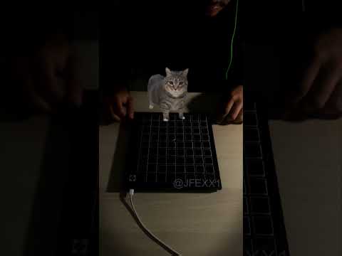 OIIA OIIA (Spinning Cat) on Launchpad #shorts #oiiaoiia #memes #cats #catshorts #techno #trending