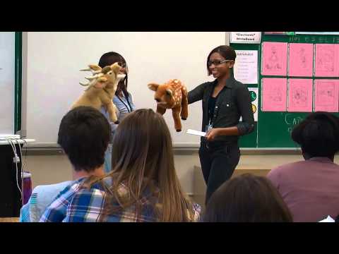 Class Spotlight - EHS Foreign Language