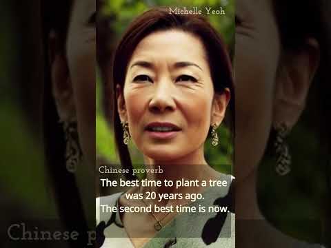 The best time to plant a tree was 20 years ago. The second best time is now.