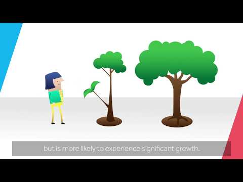 What is investment risk?