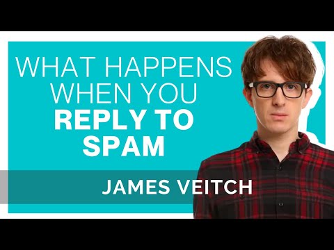 This Is What Happens When You Reply To A Spam Email | James Veitch | TED.com