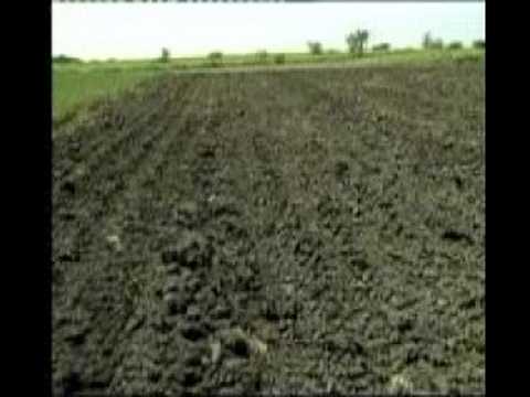 Importance of groundwater in the watercycle