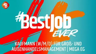 33 Ausbildung Openings at MEGA eG | Vocational Training in Germany ...