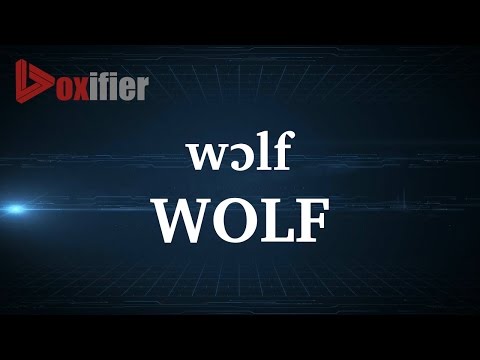 How to Pronunce Wolf in French - Voxifier.com