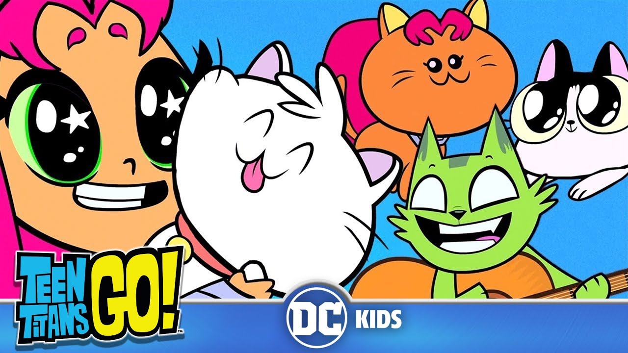 Teen Titans Go! | A Funny Cat Video | @dckids