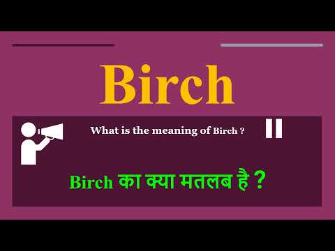 Birch meaning in Hindi | Birch ka kya matlab hota hai | daily use English words