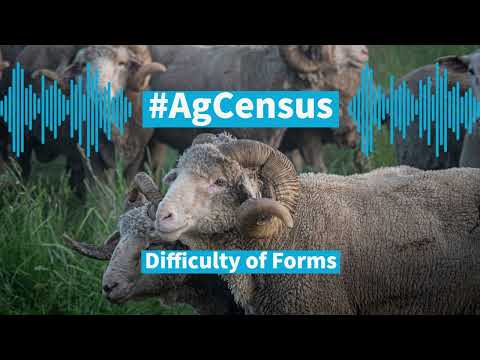 Census Forms May Not Be as Difficult as You Think
