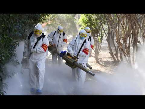 Congressional doctor predicts 70 150 million US Coronavirus cases