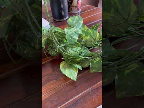 Artificial money plant leaves for decoration #review