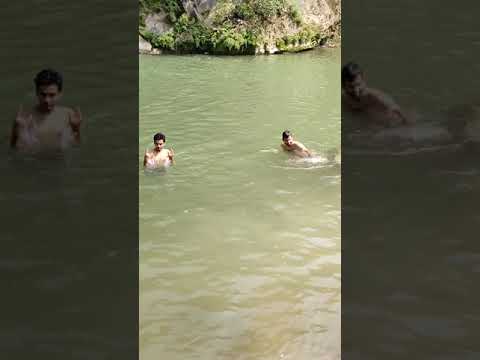 live crocodile attack my 2 brother ????????plz help