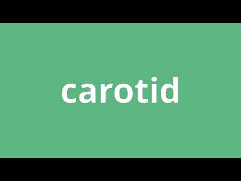 what is the meaning of carotid.