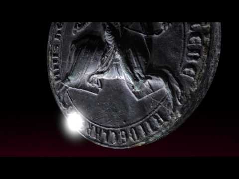 Seal Visual