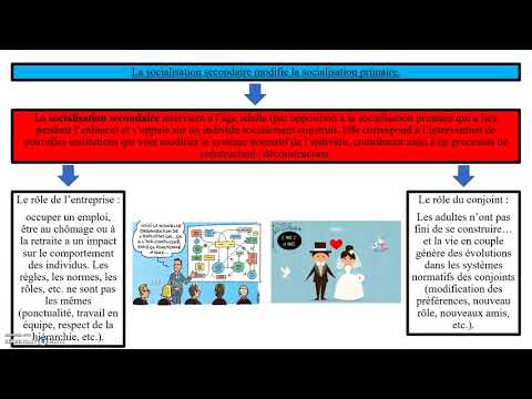 De la socialisation primaire à la socialisation secondaire (SOCIOLOGIE)