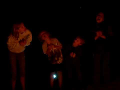 crepuscular nocturnal diurnal animals.MOV