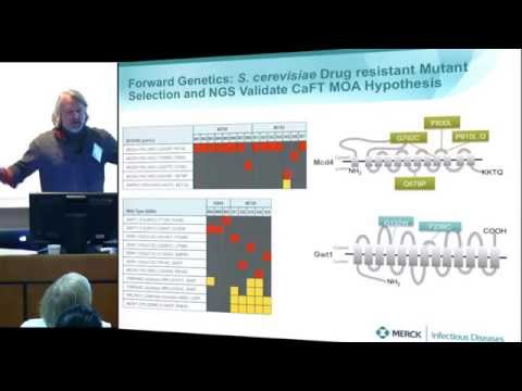 Chemical genomics-based antifungal drug discovery