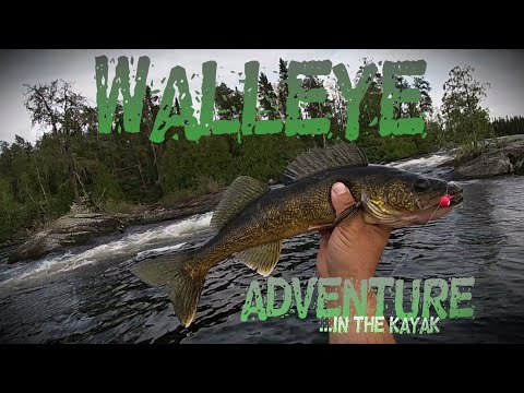 Walleye Adventure: from Zero to Hero (post-spawn fishing)