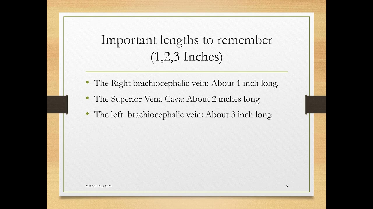 Superior Vena Cava PPT (Slide Presentation)