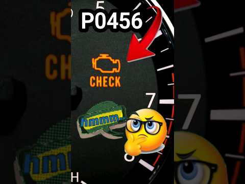 Check Engine Light On Again. P0456. Cousin Pookie did the easy gas cap already.