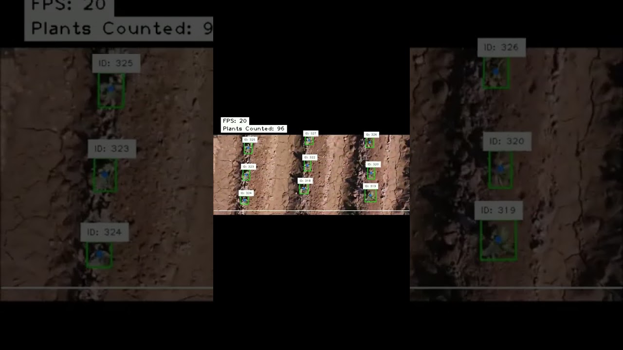 Plant Counting System Using OpenCV and Python