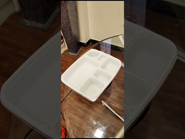 Plastic Disposable Meal Tray - Partition Meal Box Manufacturer from Chennai