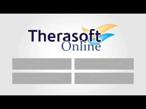 Therasoft Online Reviews and Pricing 2024
