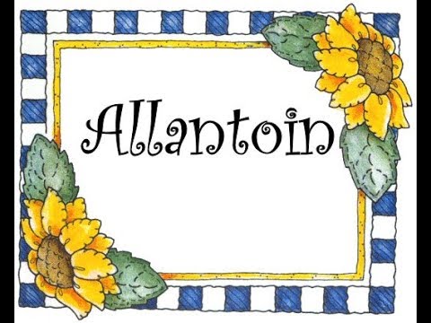 Herbal Allantoin from the comfrey plant great for skin