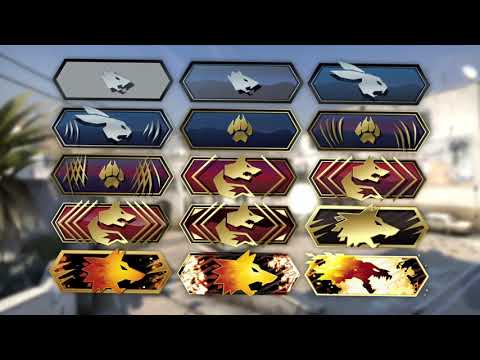 Steam Community :: Video :: NEW RANKS IN CSGO DANGER ZONE | WICKED ...