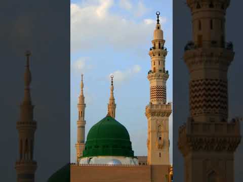 Qalbi Fil Madinah