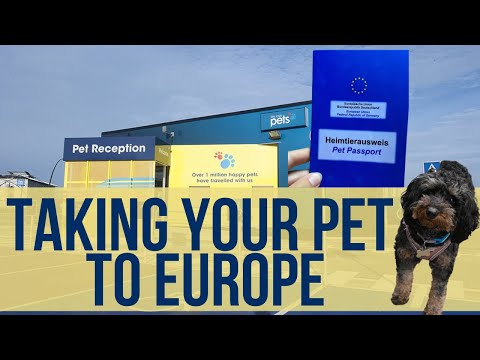 TAKING YOUR DOG TO EUROPE - EVERYTHING YOU NEED TO KNOW