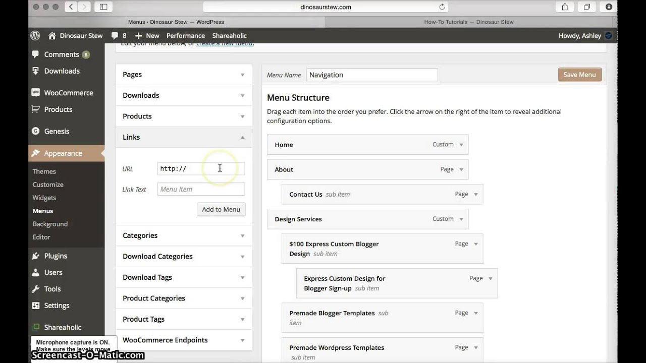 Advanced Wordpress Navigation Menus