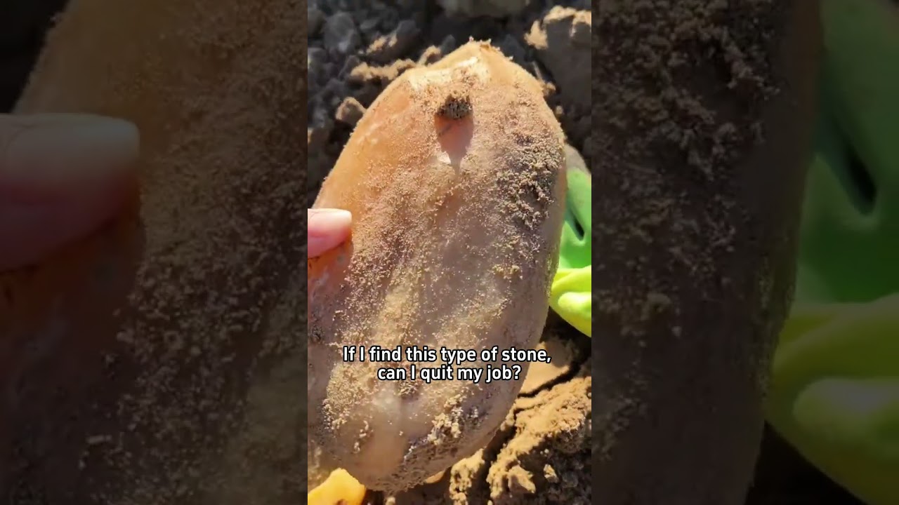 🇺🇲SciWorthy If I find this type of stone,Can I quit my job!#usa #popular #Science #stones