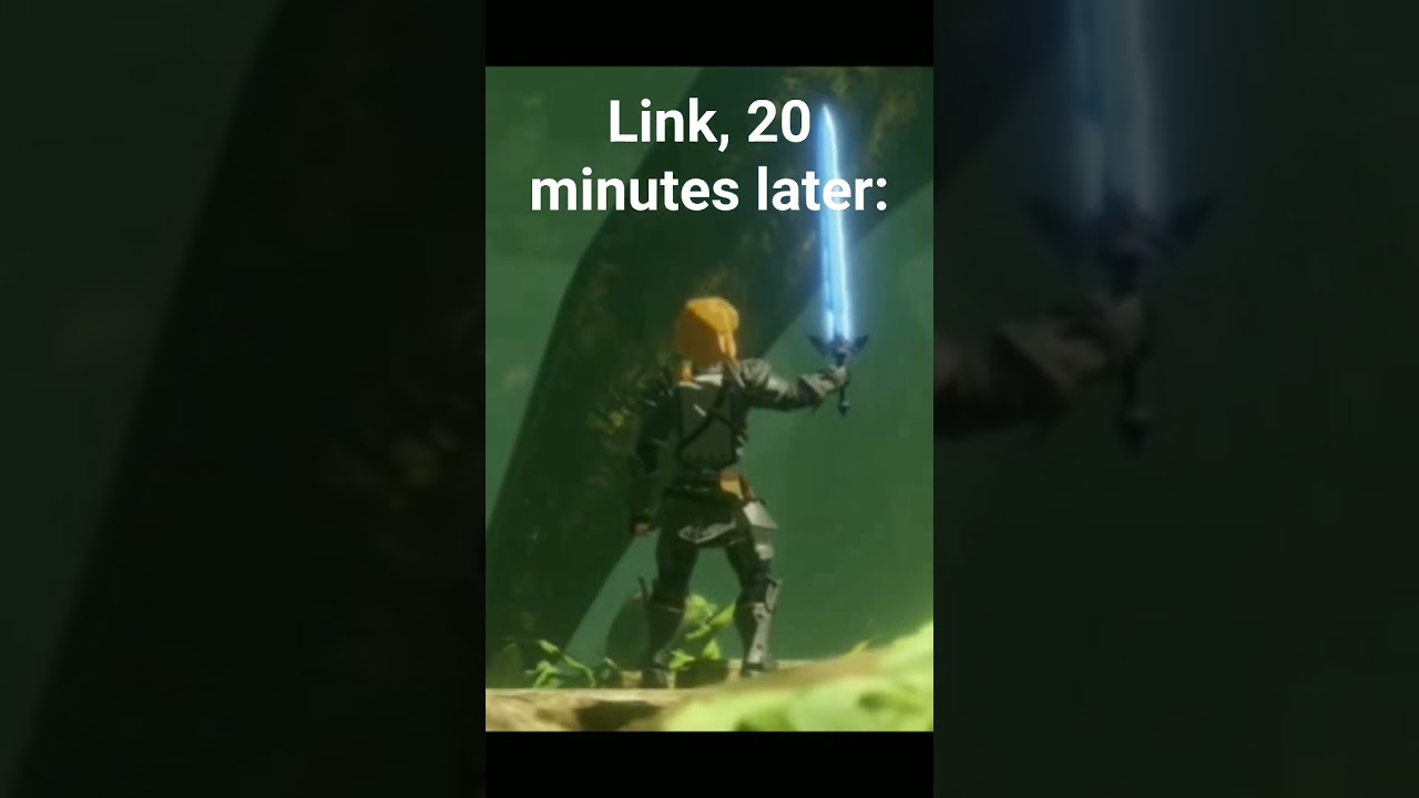 Revali getting roasted in Hyrule Warriors (Zelda)