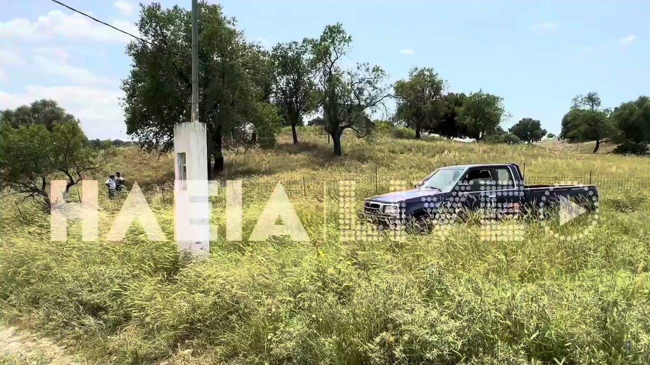 Ηλεία: 82χρονος σκότωσε 52χρονο πισώπλατα για τα γίδια που μπήκαν στο ...