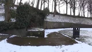 3 Best Parks in Tameside, UK - Expert Recommendations