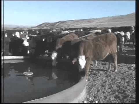 Using Animal Behavior to Meet Land Management Goals
