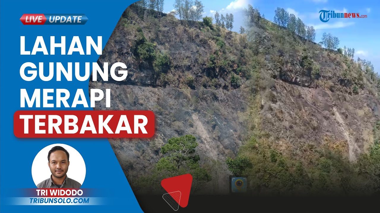 400 Meter Persegi Lahan Gunung Merapi Hangus karena Semak Terbakar ...