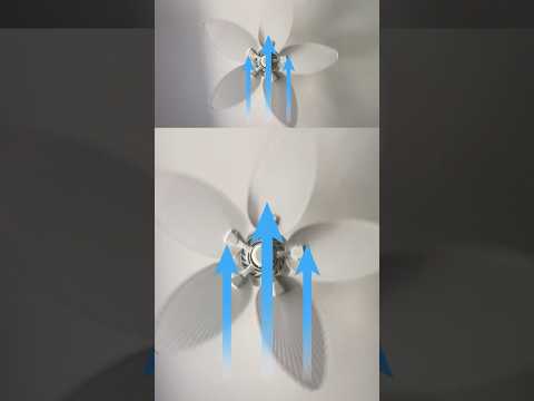 Which way should you switch your ceiling fan in the summer?