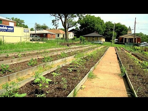 Urban Gardening