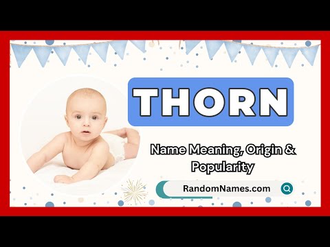 Thorn - Baby Boy Name Meaning, Origin & Popularity - RandomNames.com