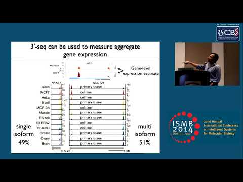 Ubiquitously transcribed genes use alternative polyadenylation to... - Steve Lianoglou - ISMB 2014