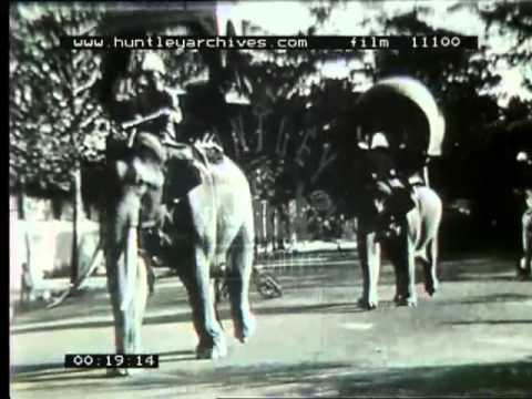 Ten Indian elephants with howdahs walk past camera in the 1890's. Film 11100