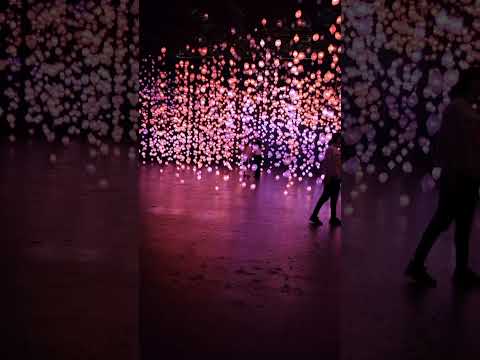 Visit at the Moca Museum, Los Angeles