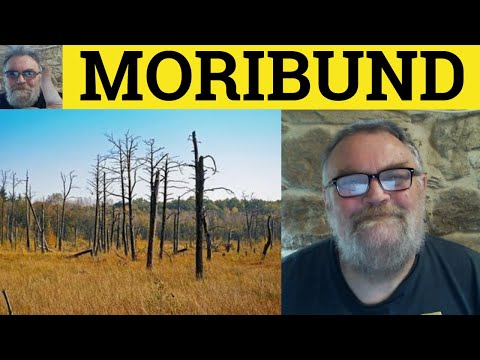 🔵 Moribund Meaning - Moribund Examples - Moribund Definition - GRE Vocabulary