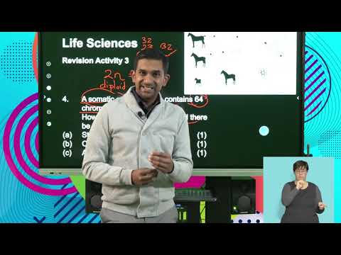 Life Sciences Revision Of Genetic Engineering And Essay Writing Skils