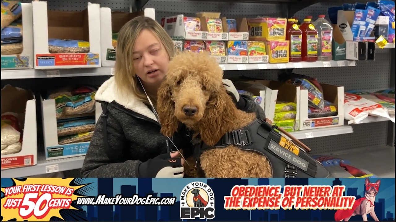 Dog Trainers Tulsa | “It Was Excellent, I Had A Cool Trainer.”