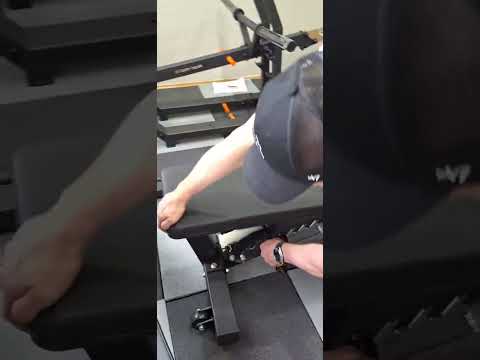 Професійна регульована лавка Generation Fitness AB100