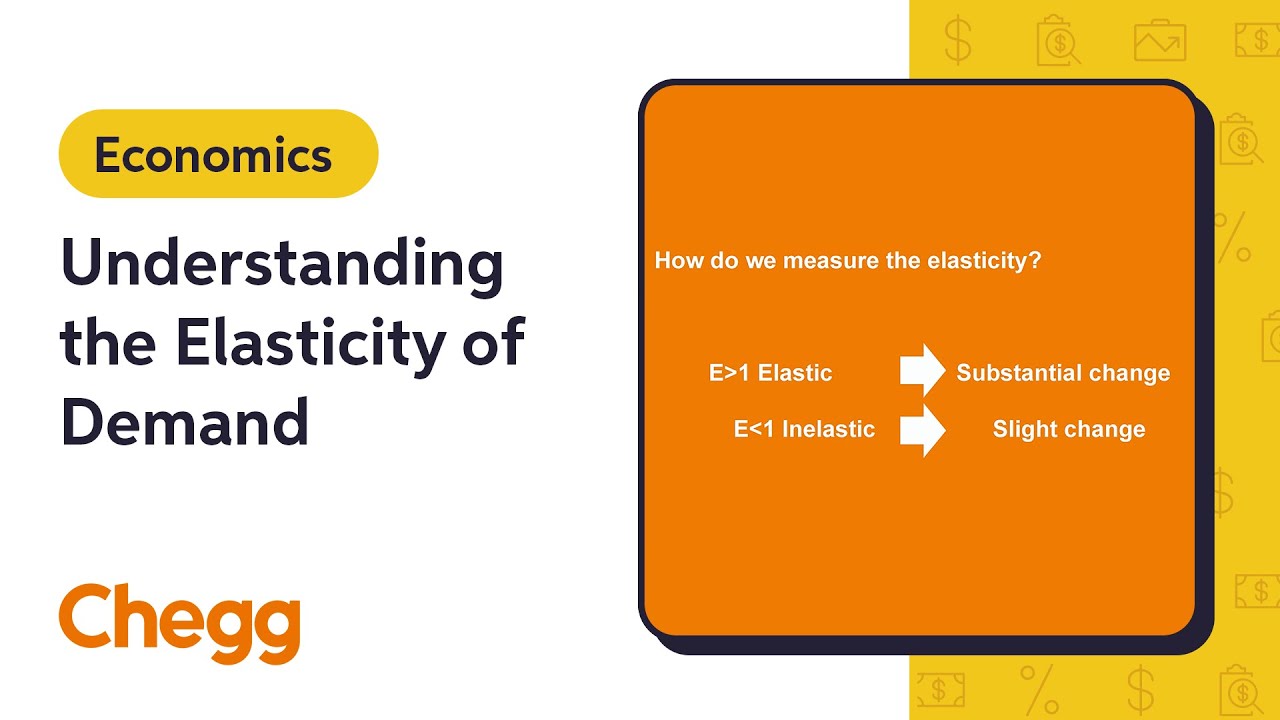 Understanding the Elasticity of Demand | Macroeconomics