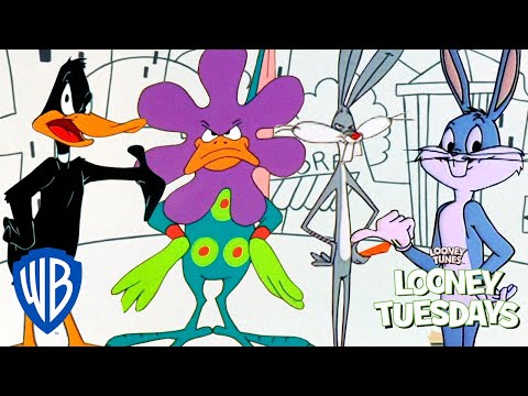 Looney Tuesdays | Breaking The Fourth Wall | @wbkids