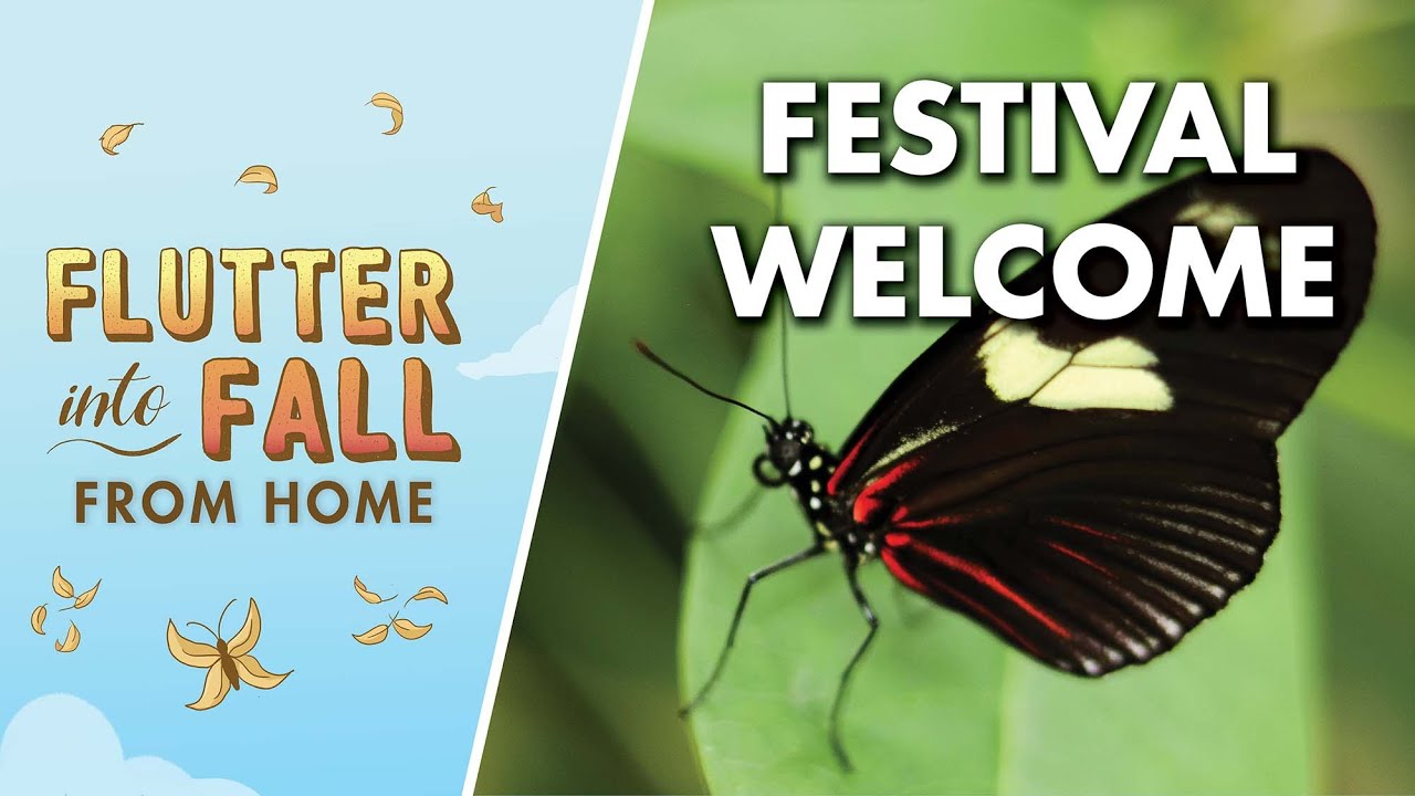Welcome to Flutter into Fall! | Flutter into Fall from Home