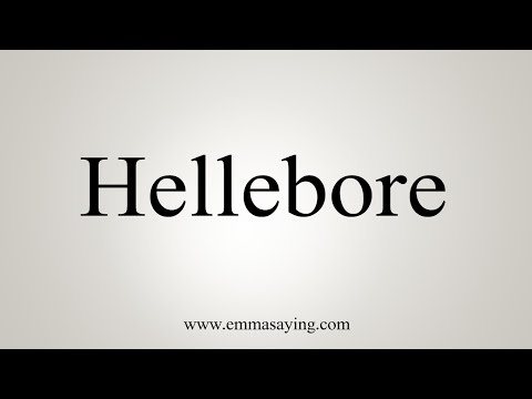 How To Say Hellebore